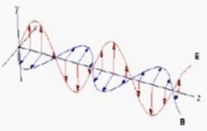 Scalar Waves - FREQE1